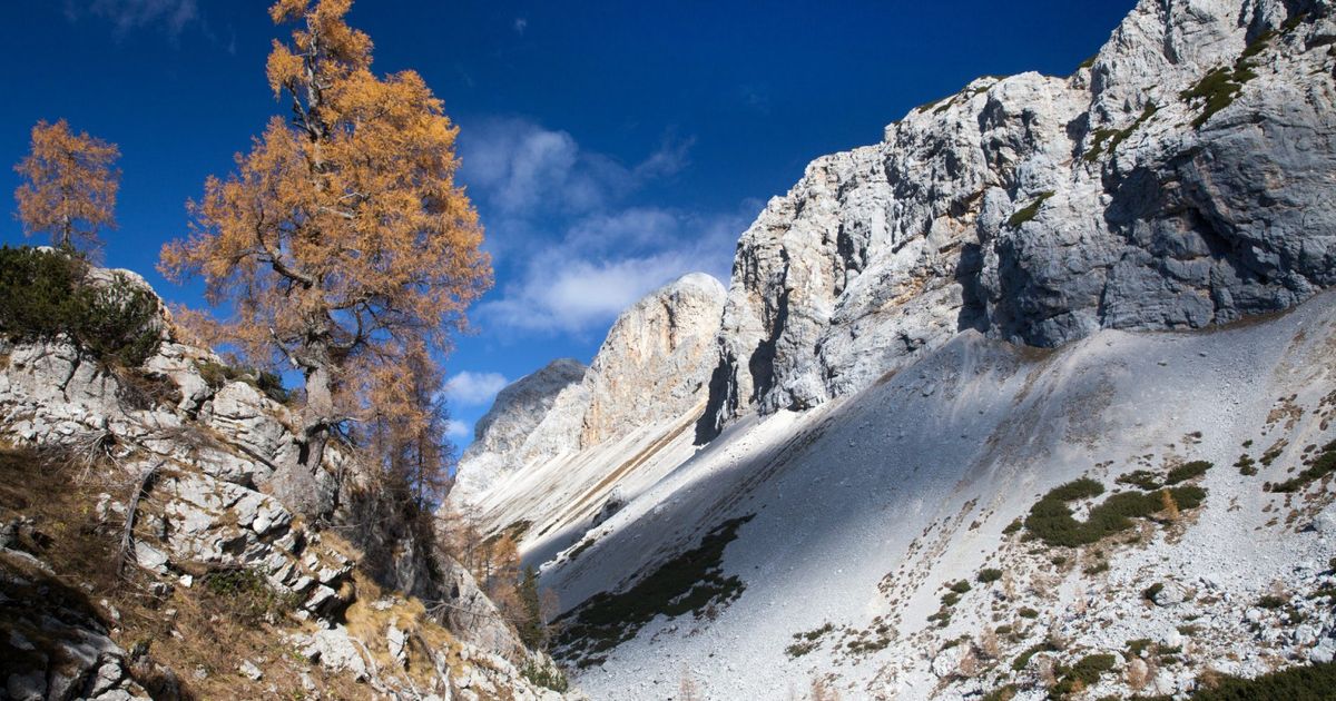 Triglav National Park - Ljubljana Bus Station